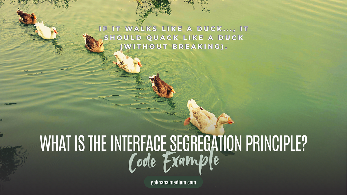 What is the Interface Segregation Principle? (With Code Example) — SOLID | by Gökhan Ayrancıoğlu ...