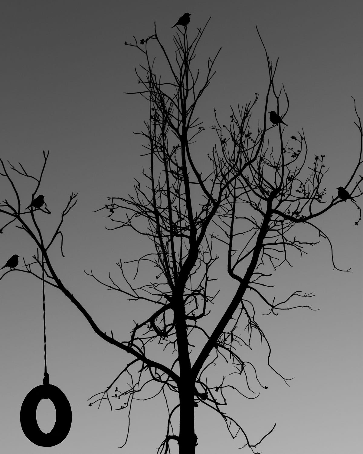 The Taming of Wild Things. A Poem | by Mona S Gable | New Writers ...