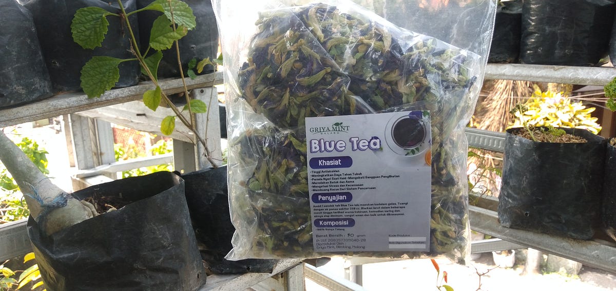 Bunga telang atau bluetea merupakan tumbuhan liana dengan bunga ...