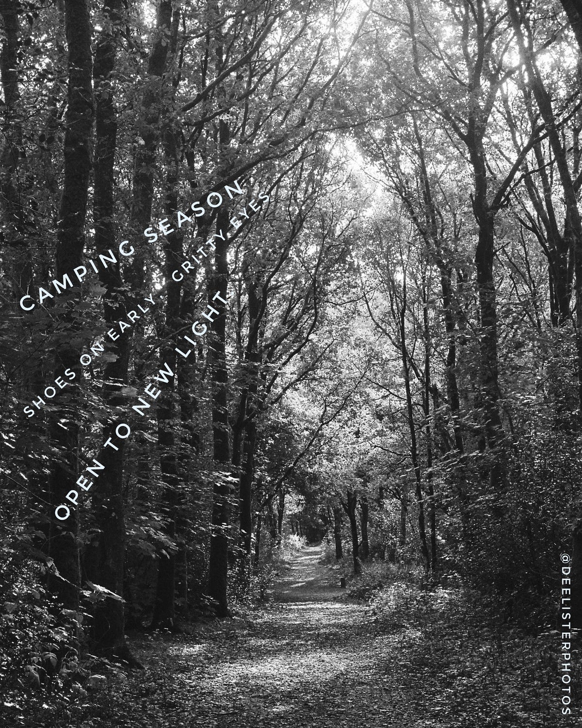 Haiku and photography for summer by nature-lover and photographer Dee ...