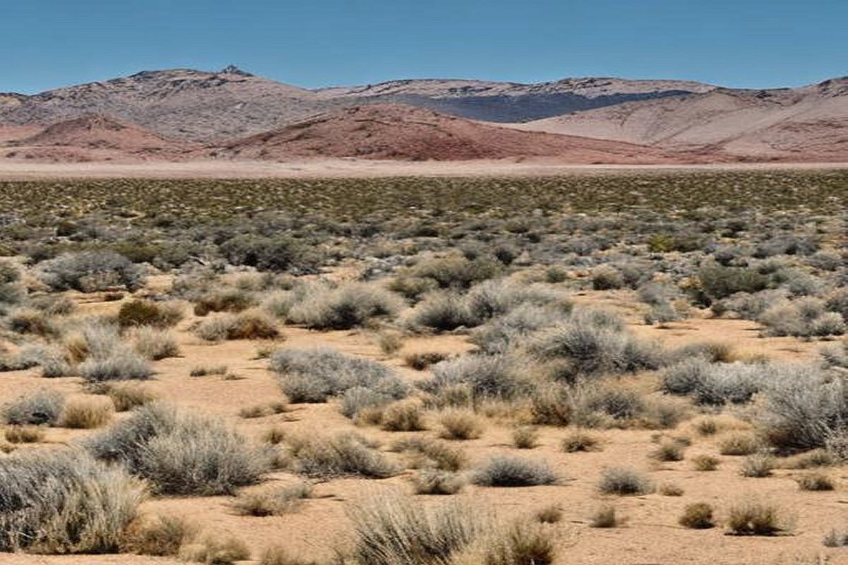 High Desert - 17 Onji - Medium