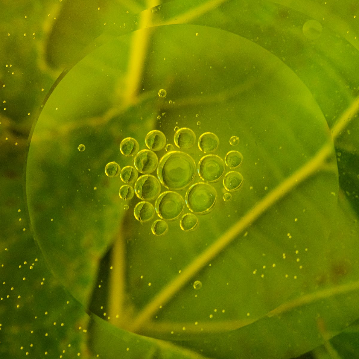 Bubbles within Bubbles: Global Insanity, 2025 | by James A. Coffman ...