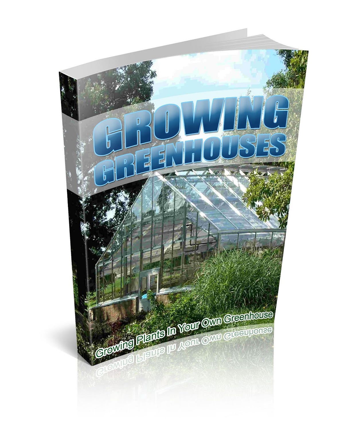 Growing Greenhouses: Cultivating a Sustainable Future | by Haseeb ul Hassan | Sep, 2023 | Medium