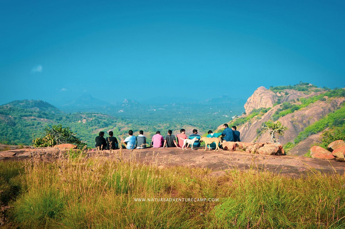 Get Ready for an Epic Nature Adventure: Dive Into the Magic of ...