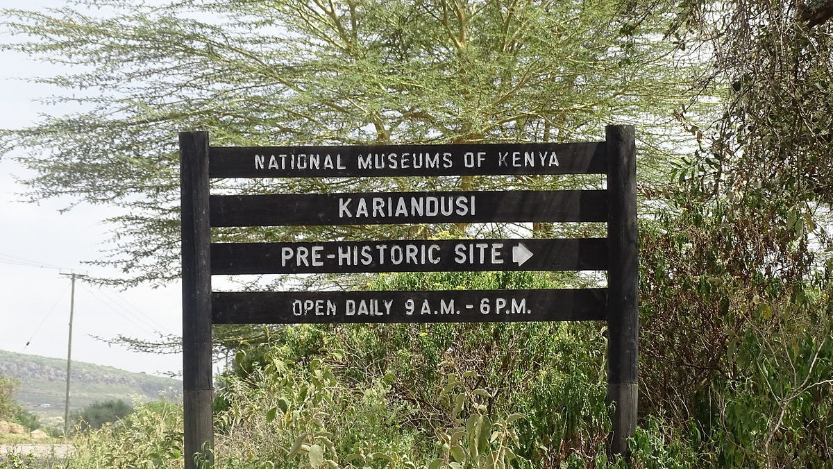 Exploring Naivasha Part 1: Kariandusi | by Sally Kuria | Medium