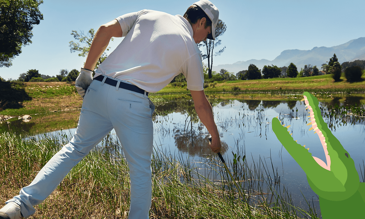 Golf Commentators React to Sponsored Alligator Attack | by Alex Cooper ...