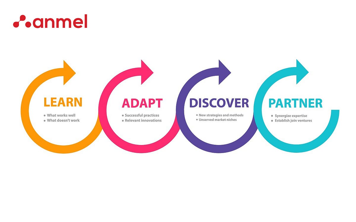 The adaptable CTO who can transform your business | by Anmel.com | Medium