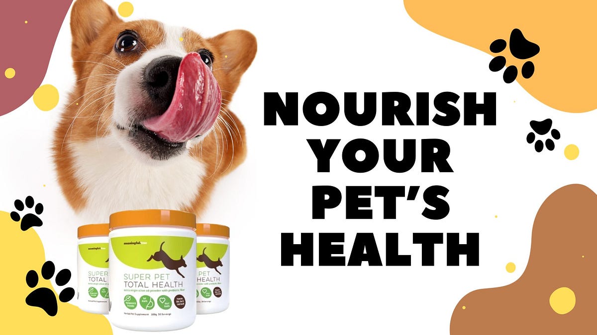 Guardians of Wellness: Your Comprehensive Guide to Preventative Pet ...