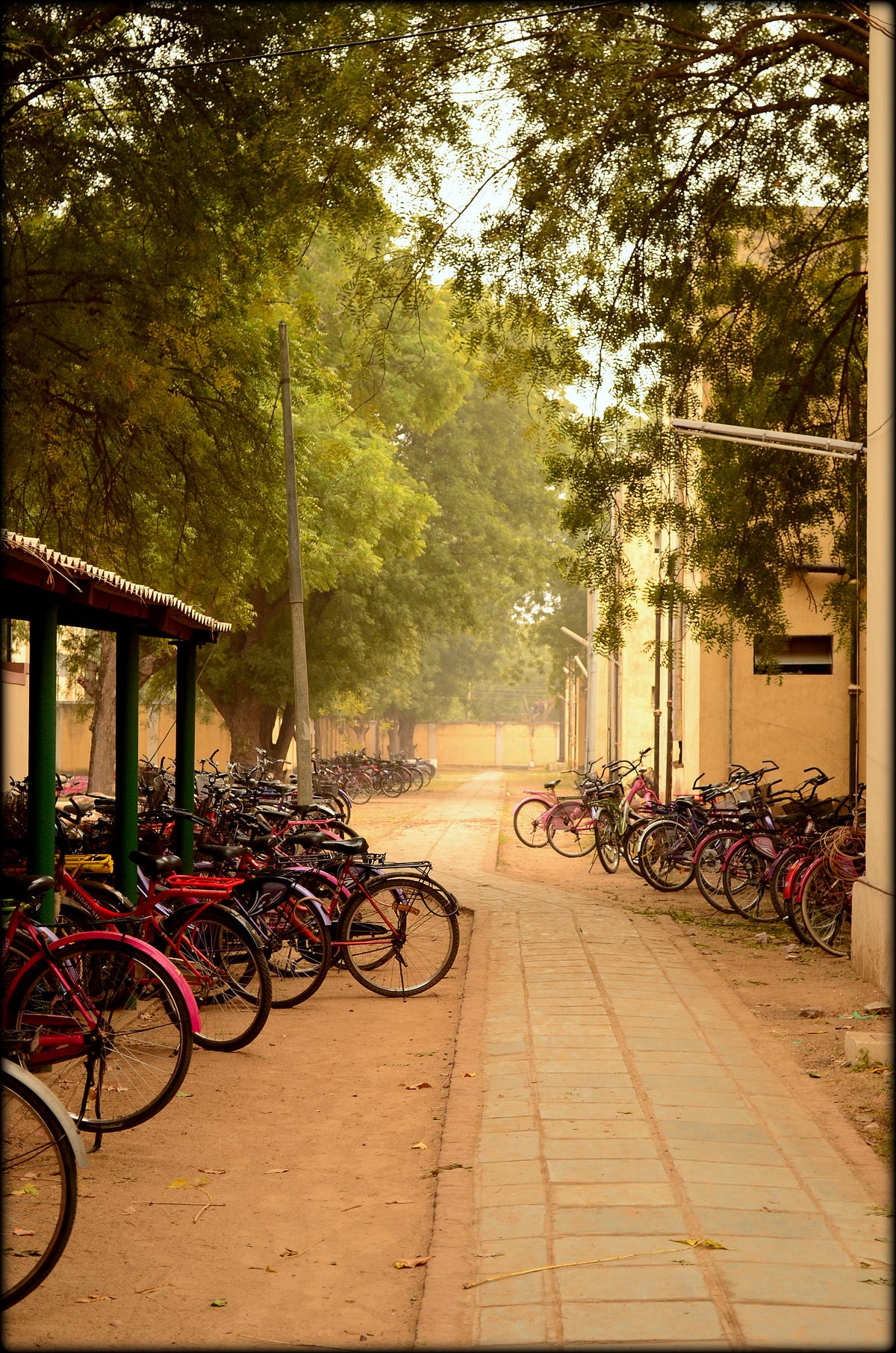 The Ladies at BITS Pilani in Numbers | by Nirant Kasliwal | Medium