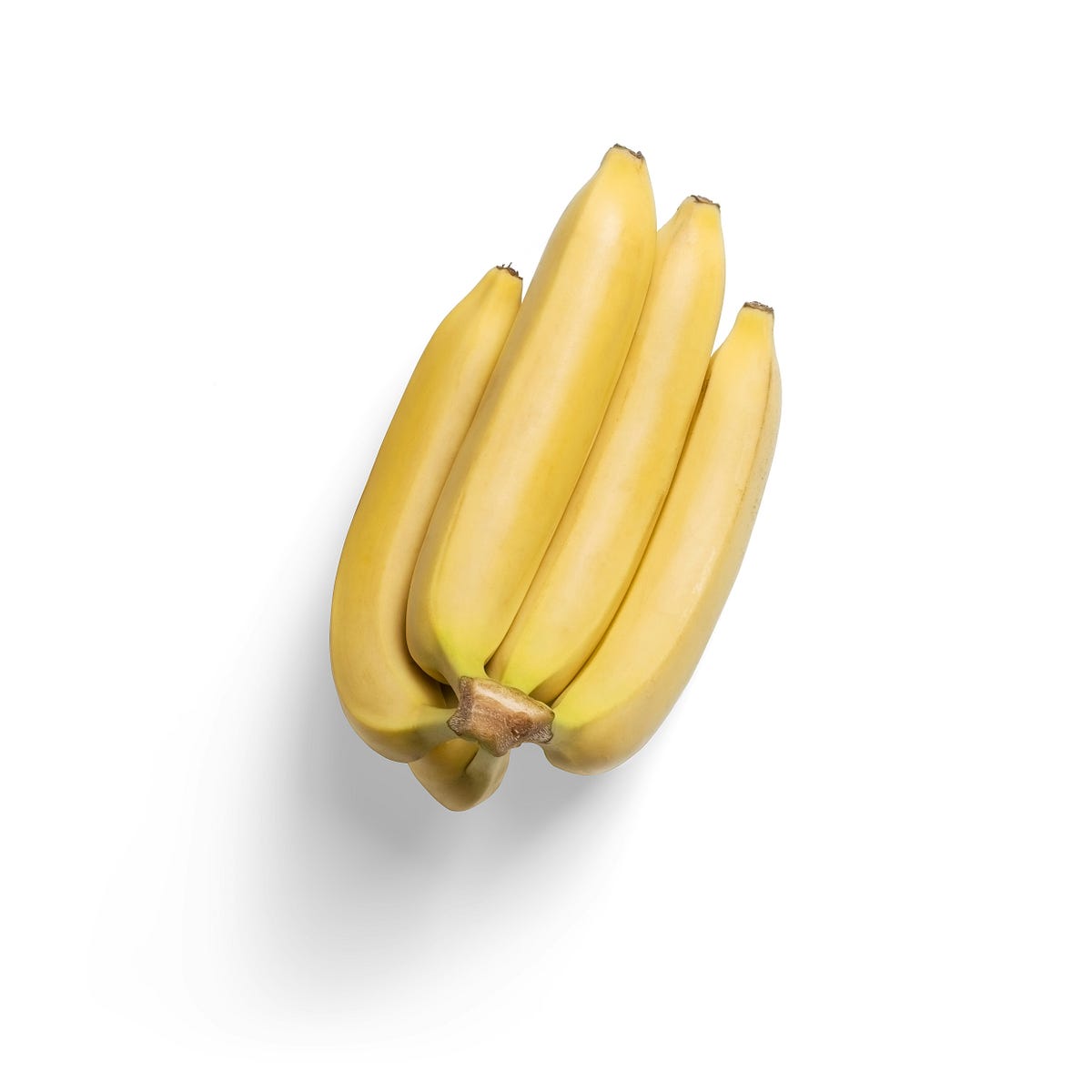 Did You Know…Humans Share 60% Of Their DNA With Bananas? | by Radhika ...