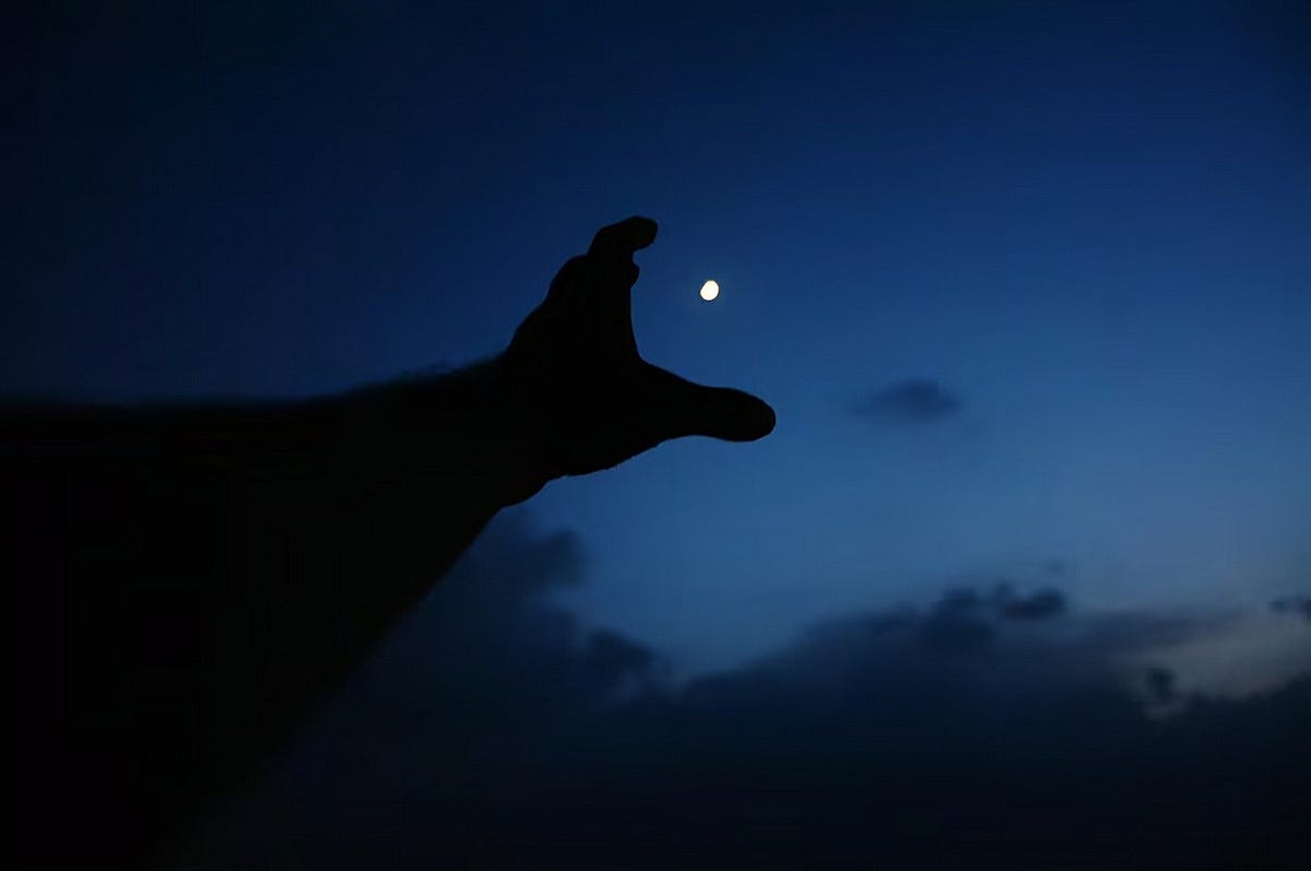 The Questions Why. As I look yonder, | by V S Bharadwaj | Mar, 2025 ...