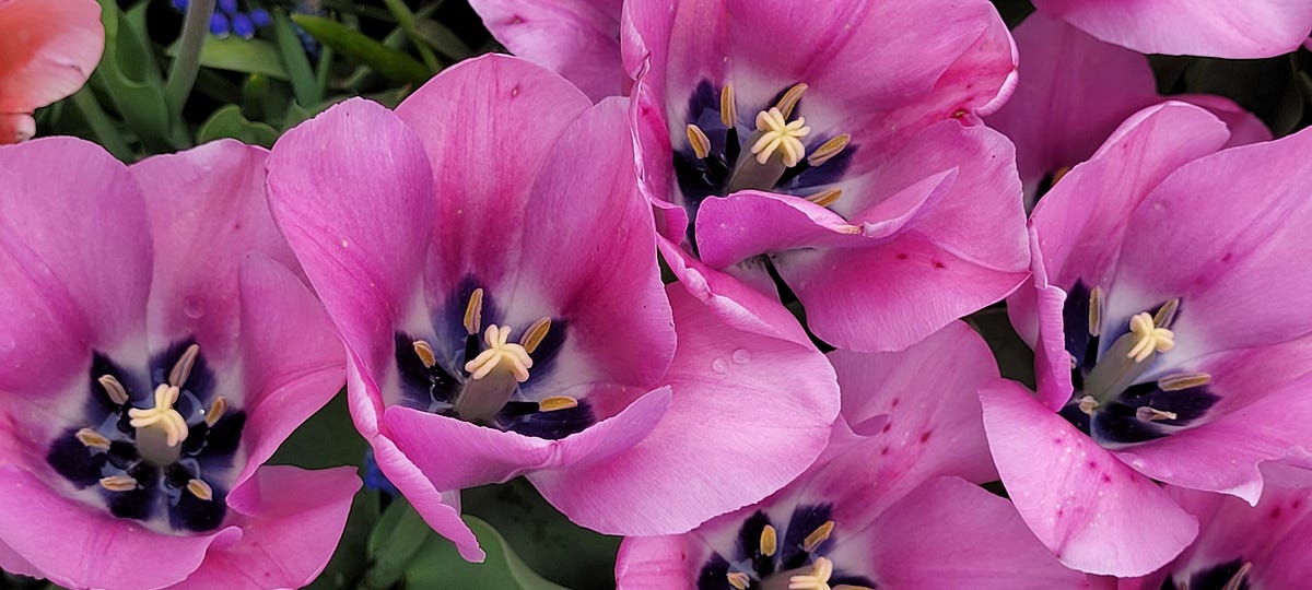 When It’s Time to Go. My 35th poem | by Bear Kosik | ILLUMINATION | Jun, 2024 | Medium