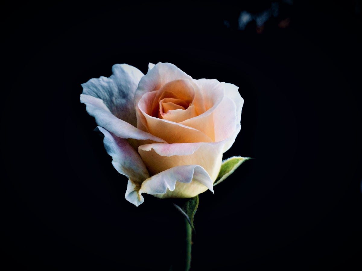 Love Is Amorphous - Hello, Love - Medium