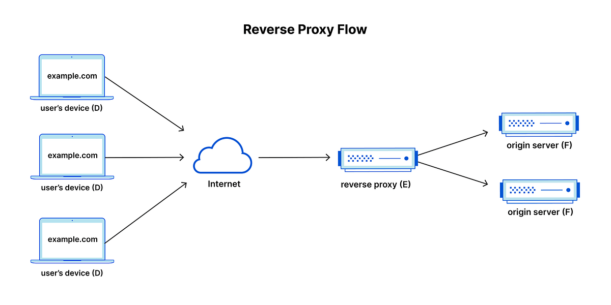 Reverse Proxies: The Unsung Heroes of Web Architecture | by MayurB | Medium