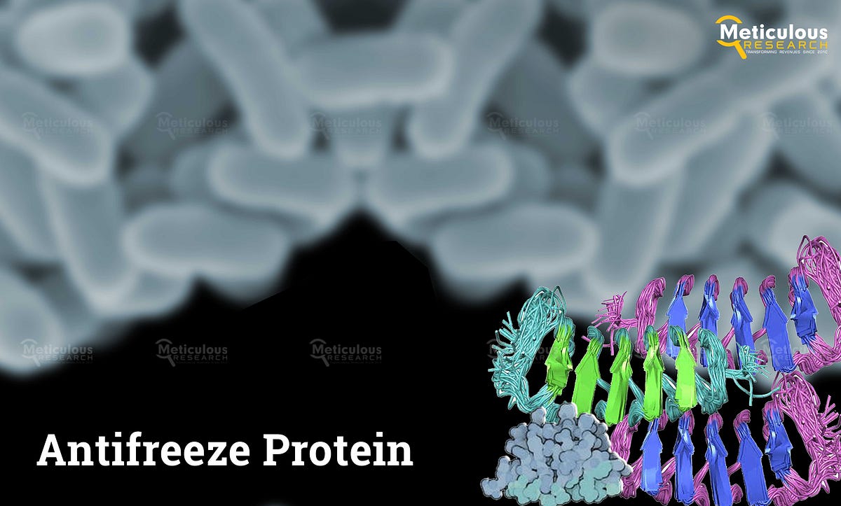 How Does the Antifreeze Protein Market Compare Across Different ...