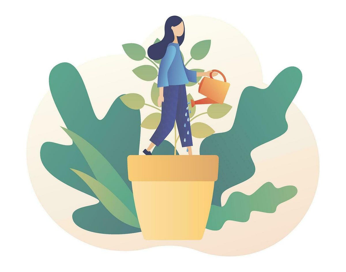 🌱The Root Before the Rise: Building a Foundation Like the Bamboo Tree ...