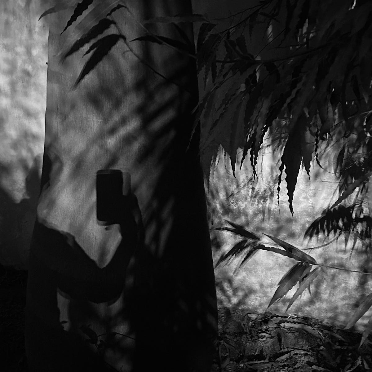 “An Ugly Reflection”. Everything that comes near me reminds… | by Aamna ...