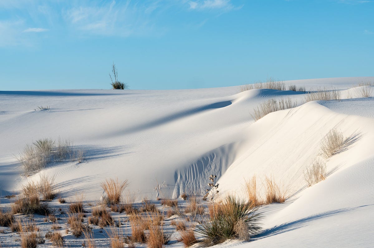 Endless Dunes - Scribe - Medium