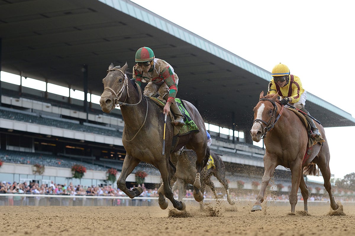 Firenze Fire Horse Profile. If you took a quick look at Firenze… | by ...