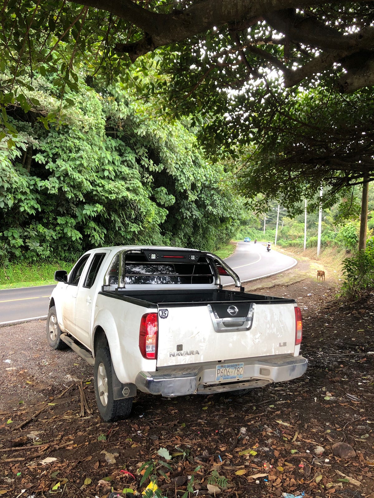 Finca El Naranjo - Hector Diaz - Medium