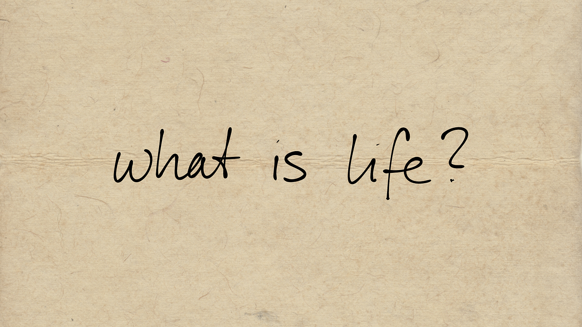 What is the meaning of Life?. It’s been a while since I’ve written ...