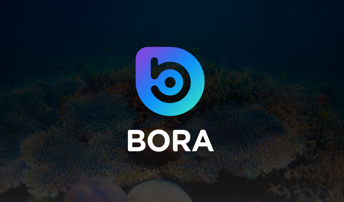 Current situation and Future plan | by BORA | BORA | Medium