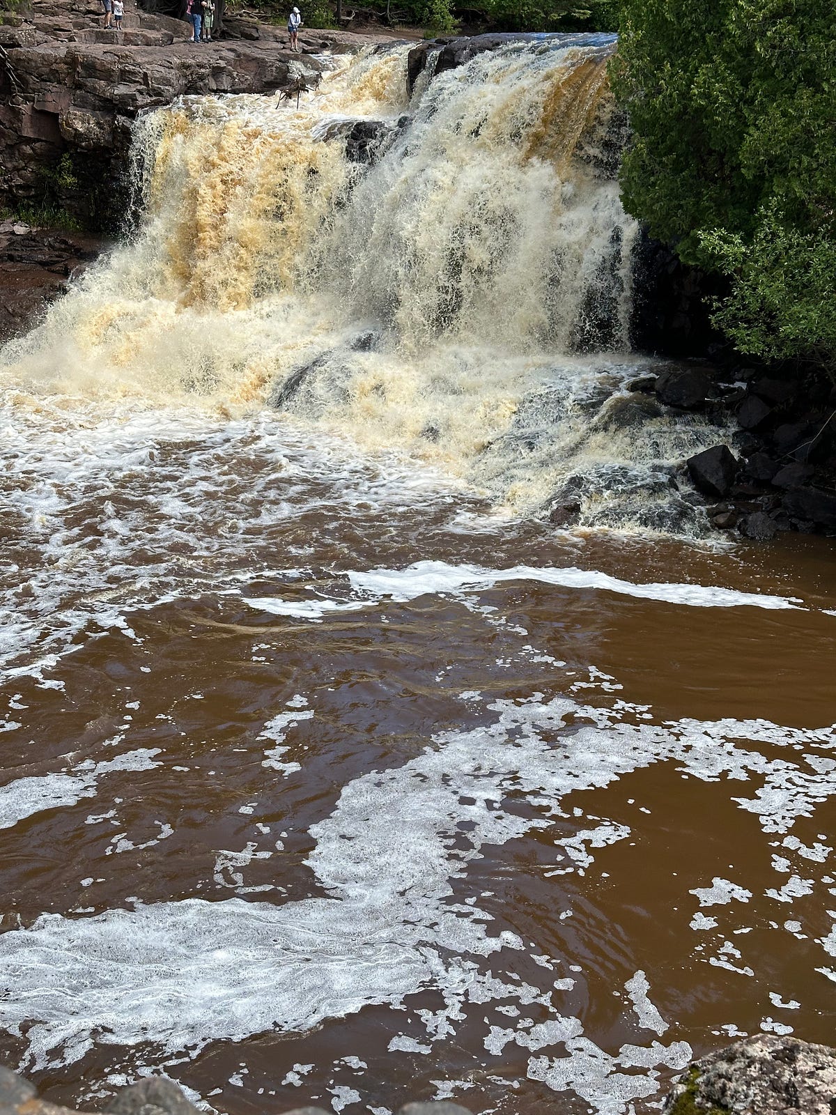 The River. The river runs wild, deep and true. It… | by L.O. | Medium