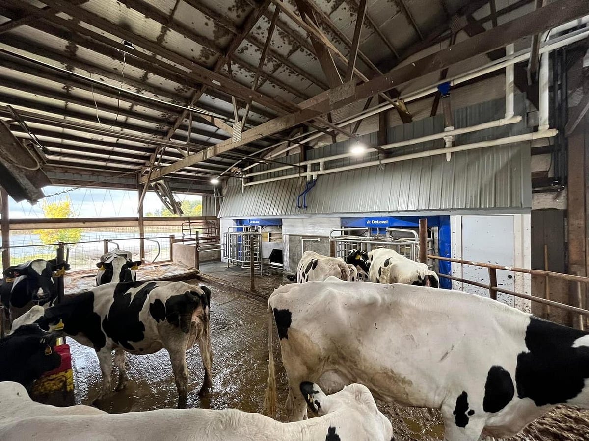 Revolutionizing Life on the Farm: How we’re not only changing the lives ...