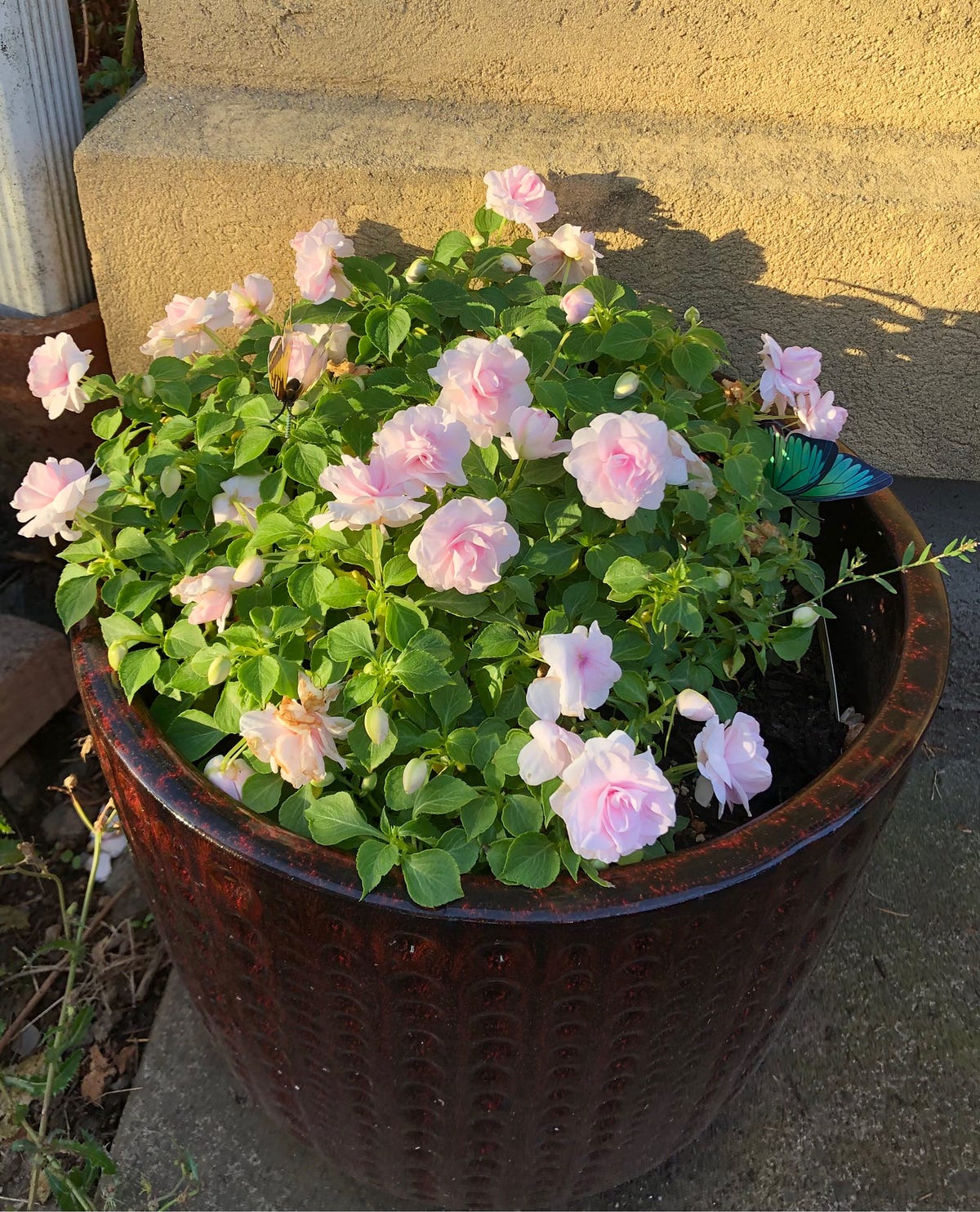 The Second Week of September 2024 | by Kristina Pulford | Medium