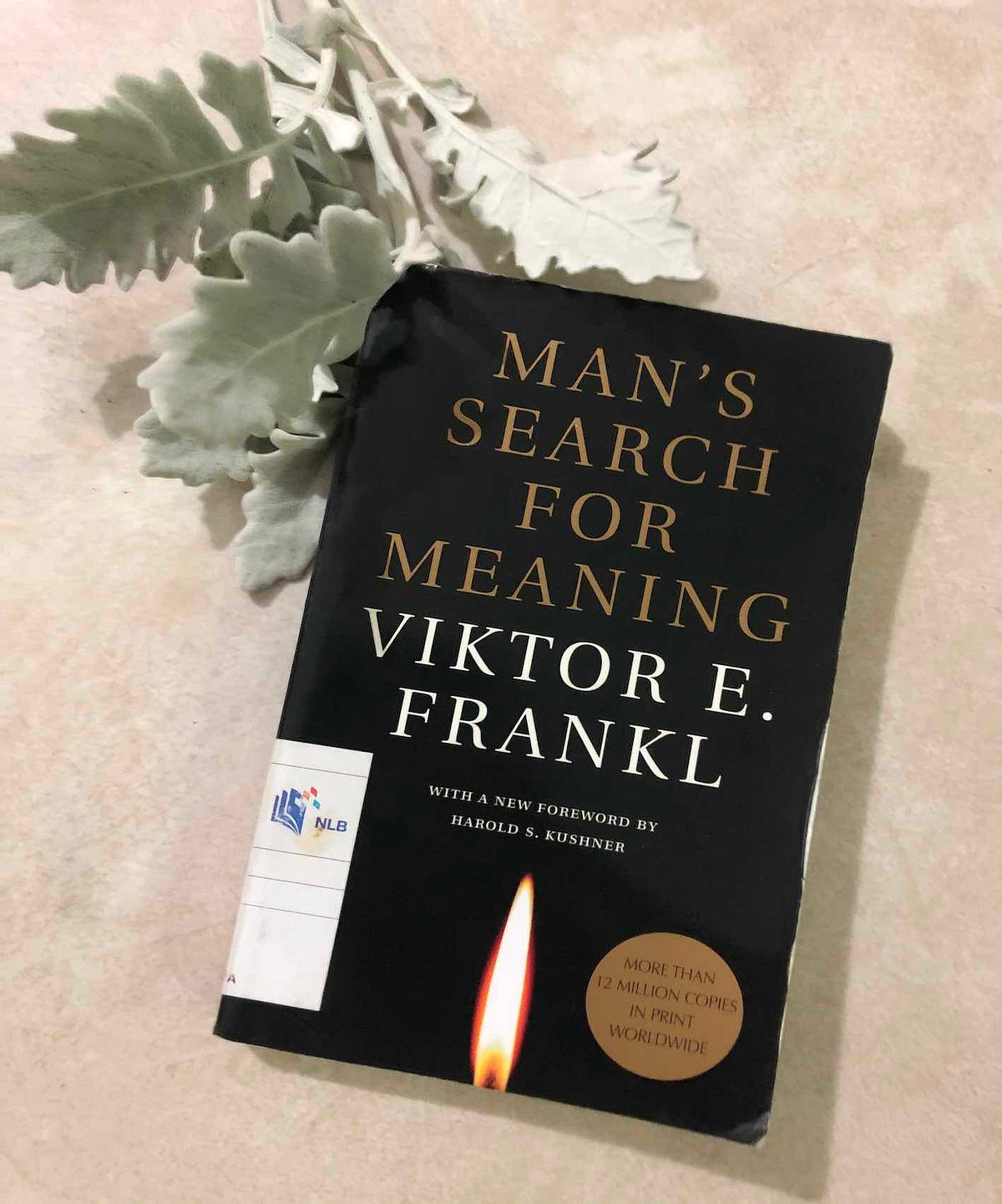 Discovering the Truth Behind the Cliche — A Book Can Change Your Life ...