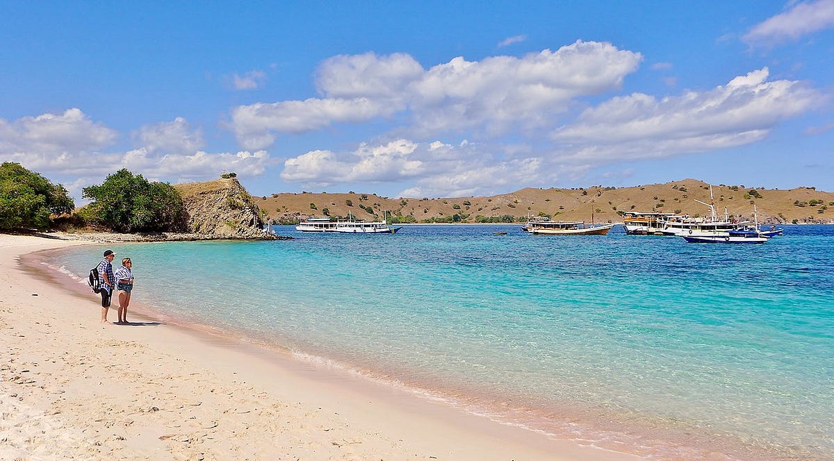 A Pink Beach With Dragons. Are you dreaming? Or in the Komodos? | by Rascal Voyages | Medium