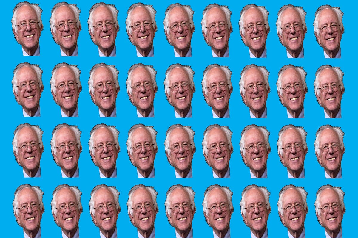 This Is What Happens To A Reformed Bernie Bro | by Dr. Jeremy Divinity ...