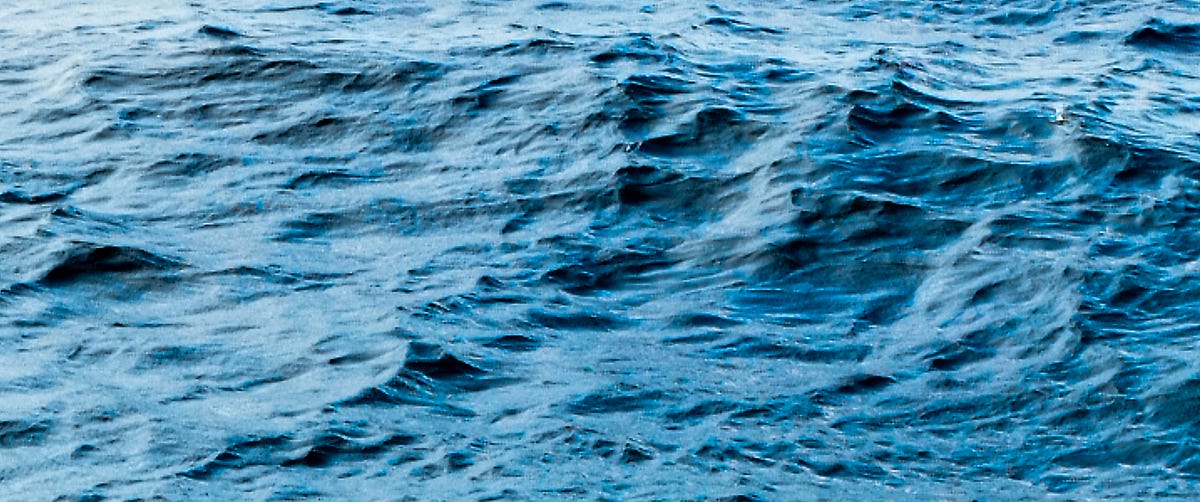Waves - Alon - Medium
