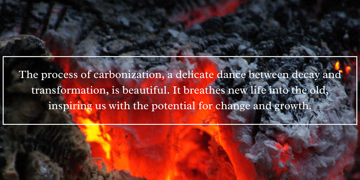 Awakening the Fire Within: A Hopeful Journey Through Decay and New ...