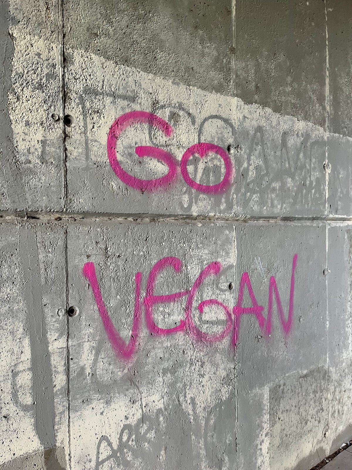 A Vegan Graffiti Exhibition. | by Rhea Barden | Medium | THE FUTURE IS ...