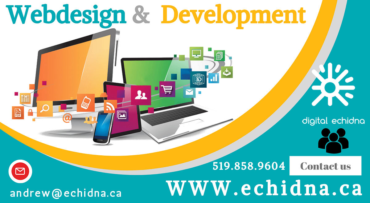 Innovative Website Design For Your Inspiration | by Digital Echidna ...