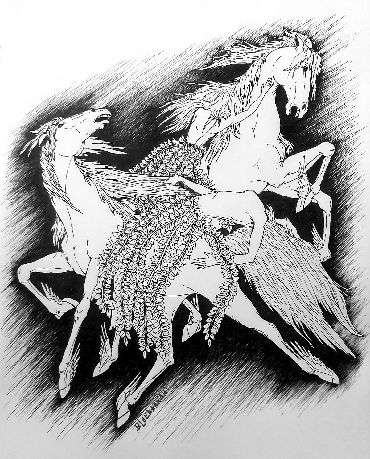 "Amazonas" - Hand #Drawing - #Black #Pigment #Liner 0.02 | by ...