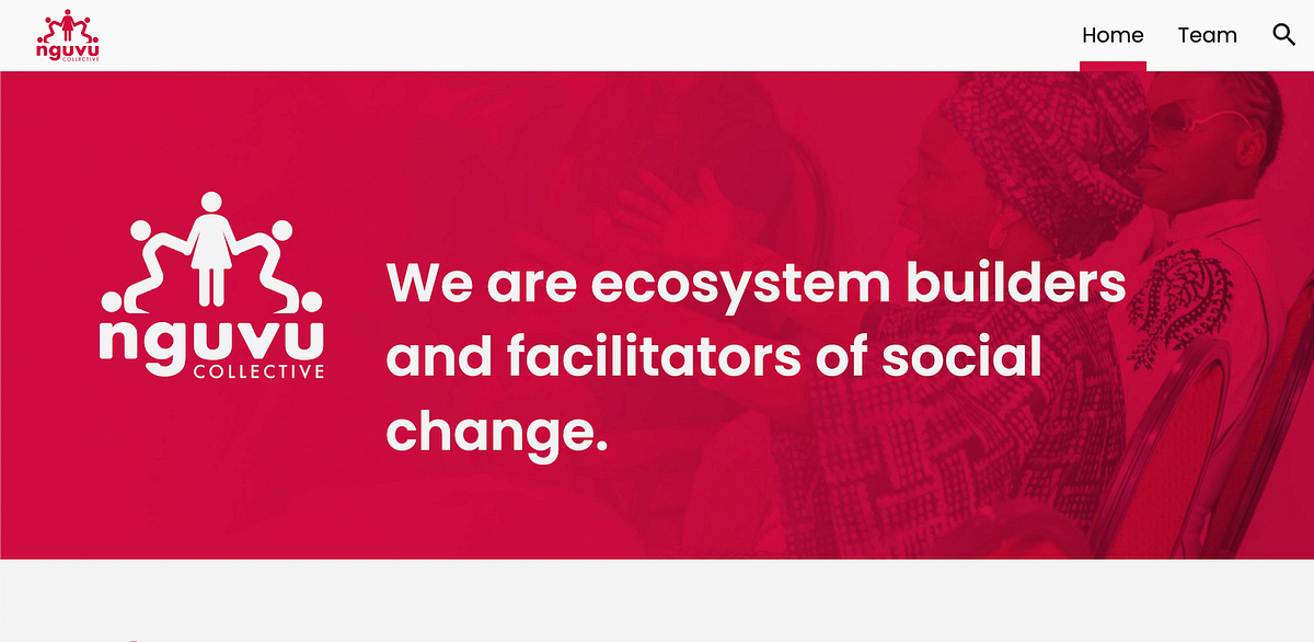 Excited to officially join Nguvu Collective! | by Ebenezar Wikina | Medium
