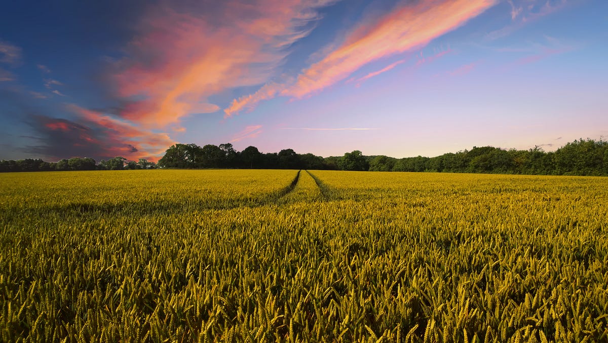 Truterra Insights Engine: First-of-its kind digital platform to take on ...