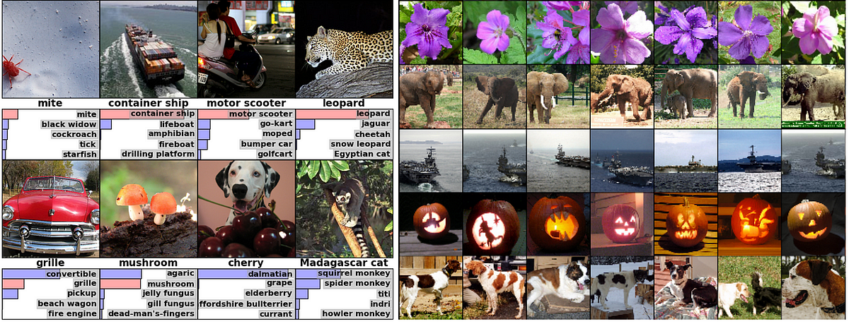 ImageNet Classification with Deep Convolutional Neural Networks | by ...