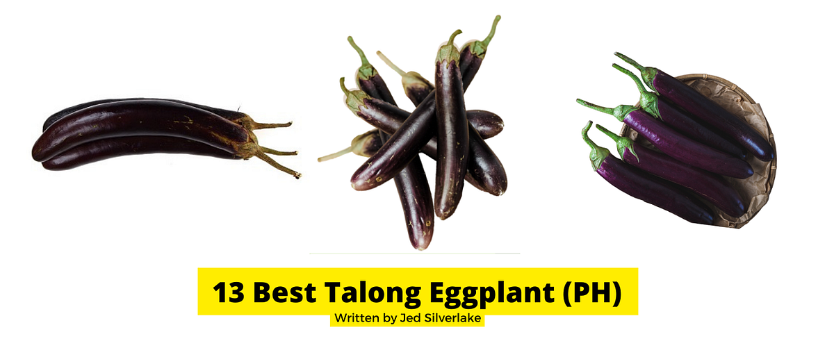 13 Best Talong Eggplant Philippines 2022 (w/ Free Discount) | by Ibong ...