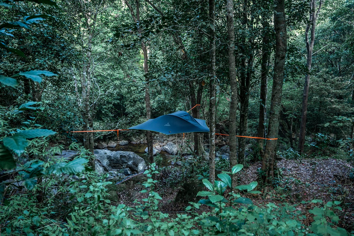 Camping in the woods - tent stay in wayand - Medium