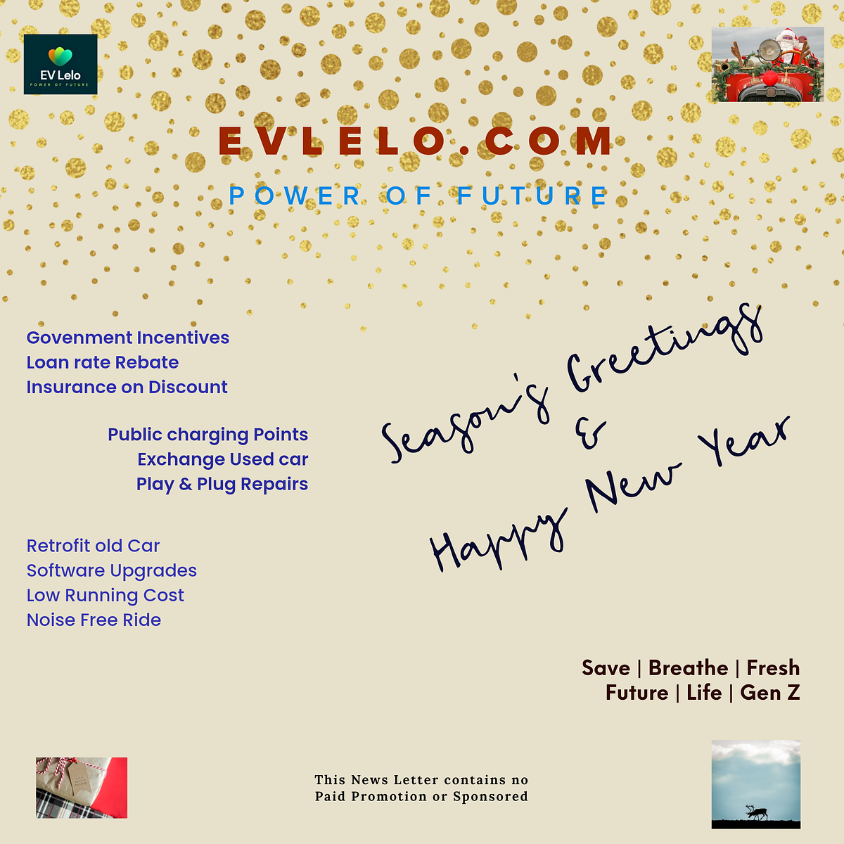 Happy New Year - EV Lelo - Medium