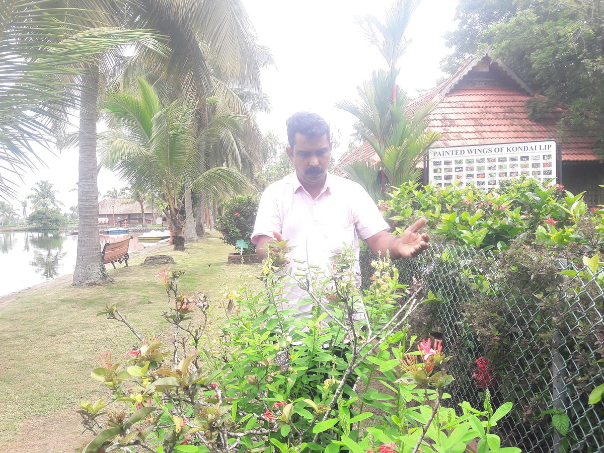 Horticulture Therapy in Malappuram Kerala India | Medium