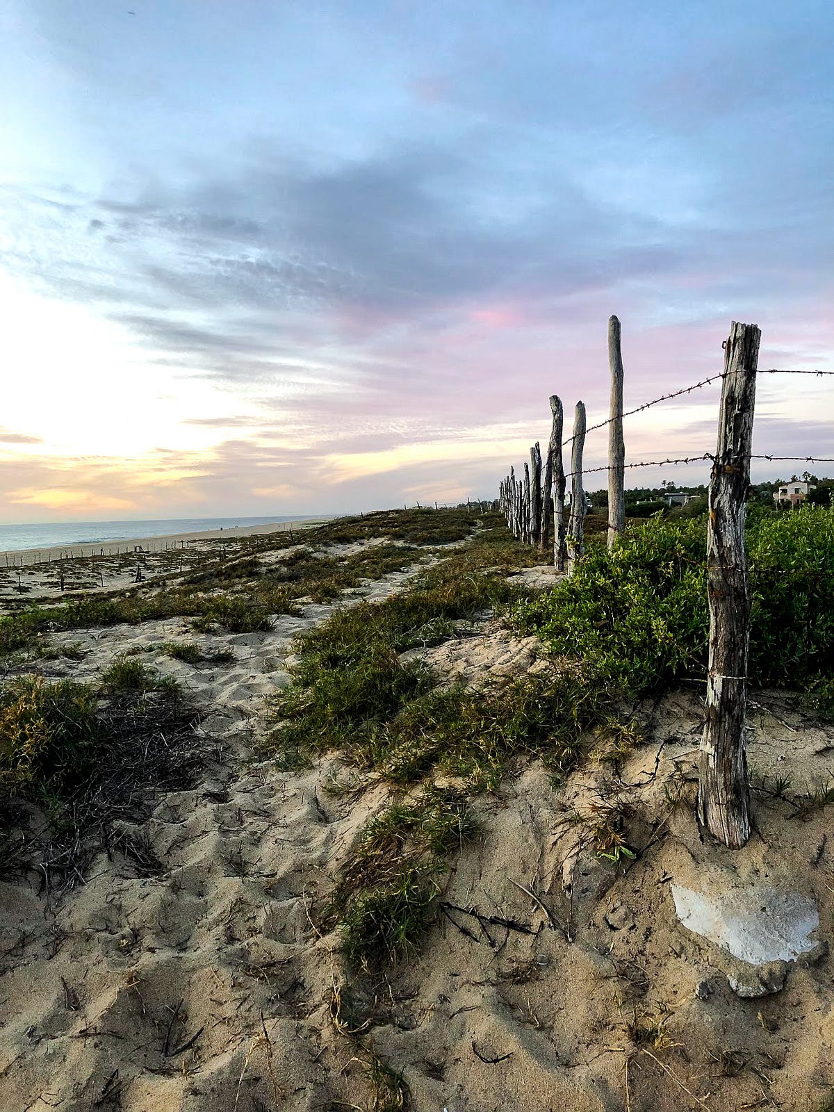 Escaping the Cold in Baja California | by Madalyne Loree | Medium