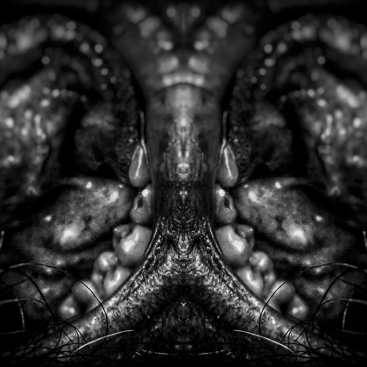 Insatiable - This Is Not Poetry - Medium