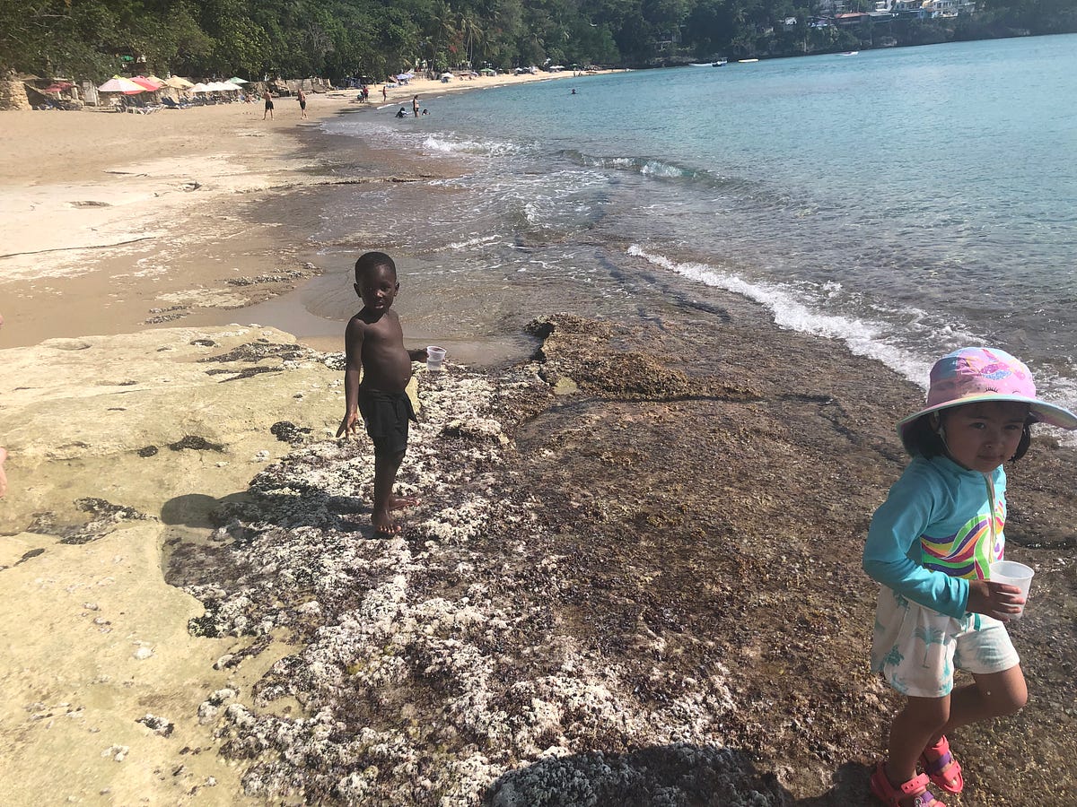 Children - Carey Rowland - Medium