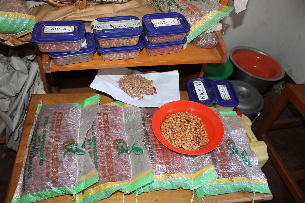 LWR Launches AgResults to Bolster Legume Seed Market in Uganda | by ...