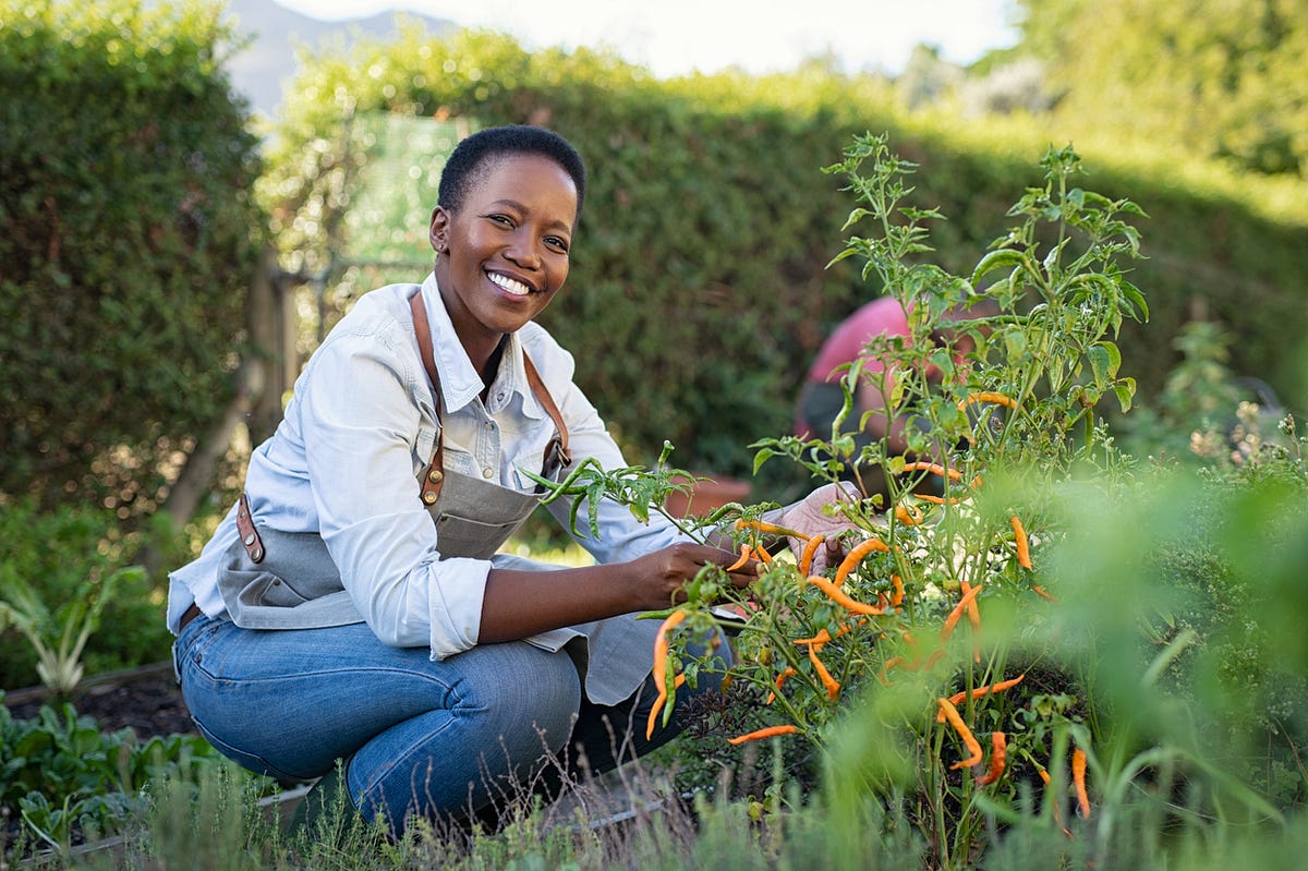 Organic Cancer Prevention. Low-toxin diets mean less disease | by David ...