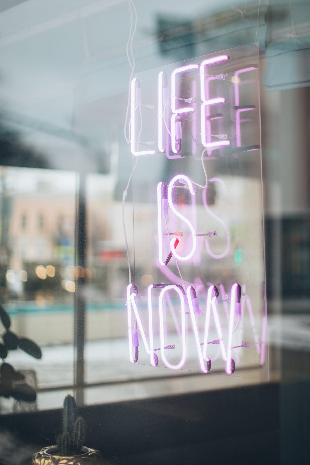 Are you above or below average?. In a world obsessed with labels… | by Taran Sankar ...